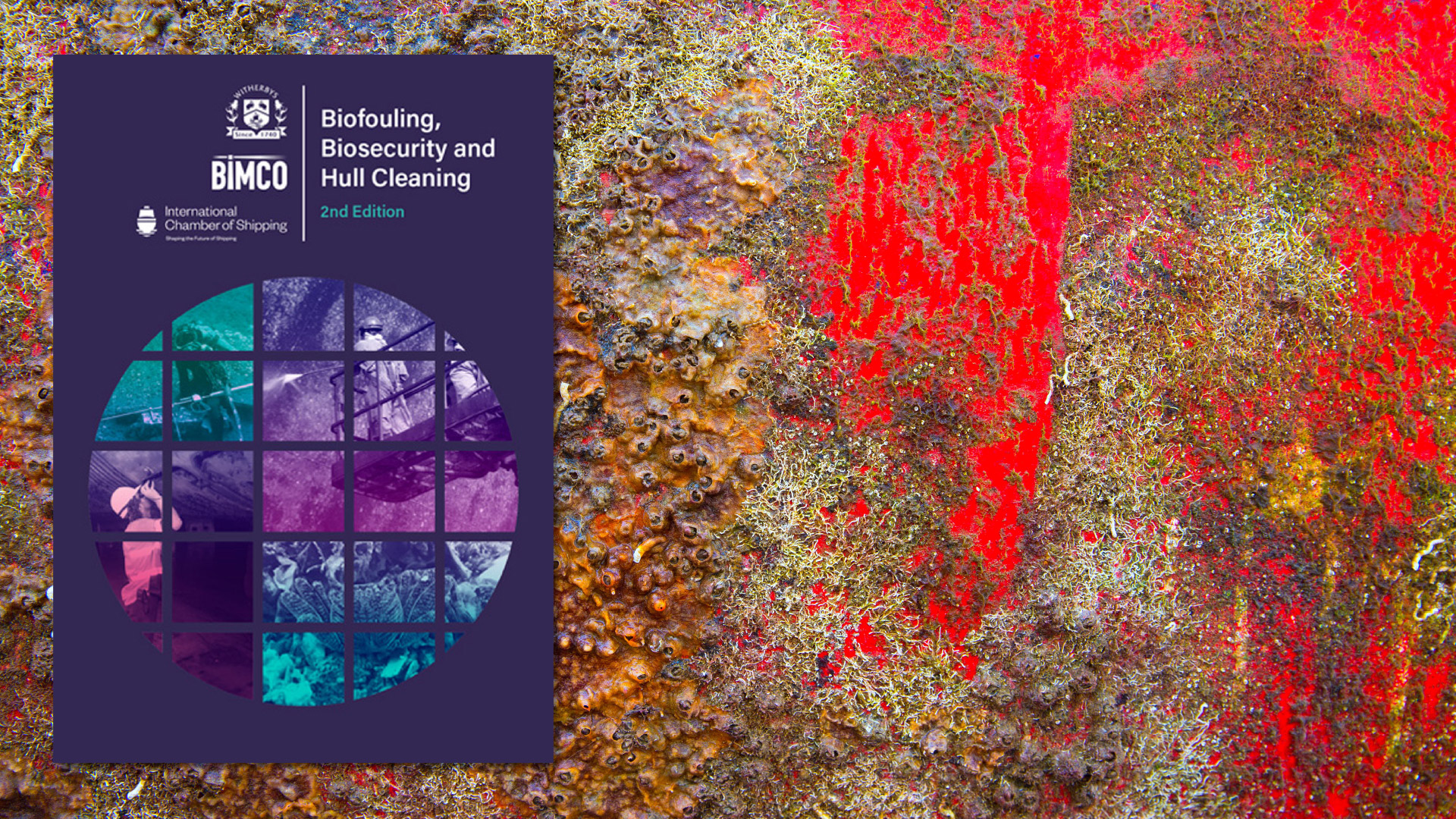 Biofouling, Biosecurity and Hull Cleaning - 2nd Edition